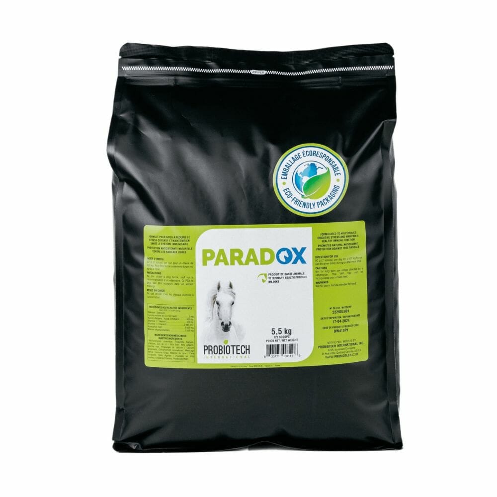 Supplément de Paradox | Chambriere