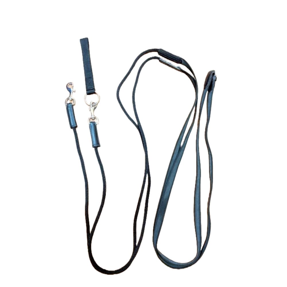 German reins | La Chambrière