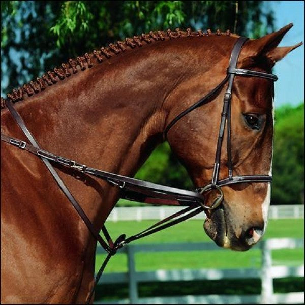 Classic Martingale with Olympic reins | La Chambrière